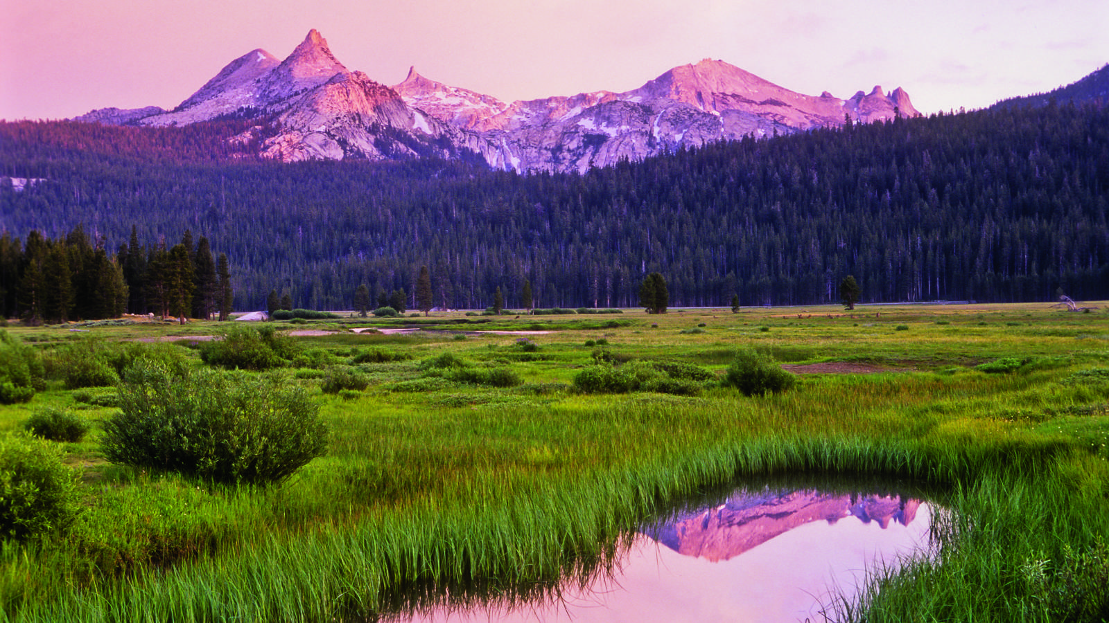 Finding Home · National Parks Conservation Association