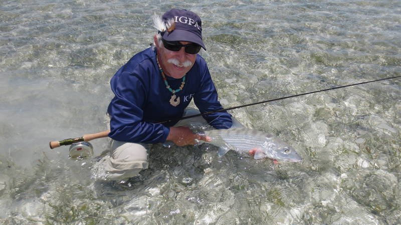 New Policy Opens the Door to Wolf Hunting in Grand Teton, John D ...