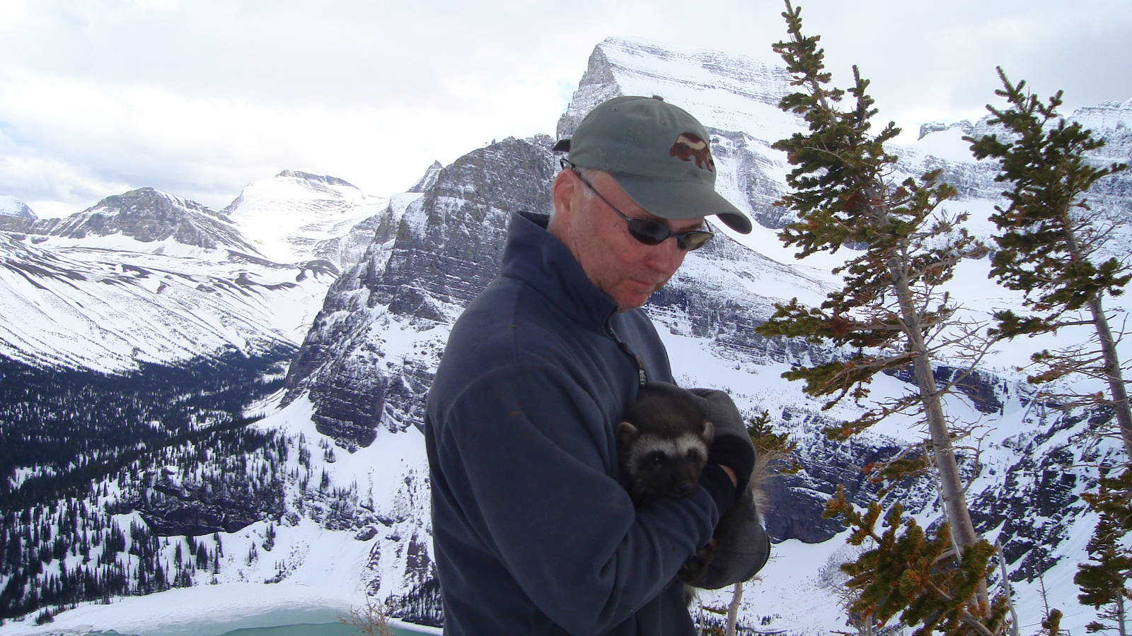 The Wolverine Way · National Parks Conservation Association